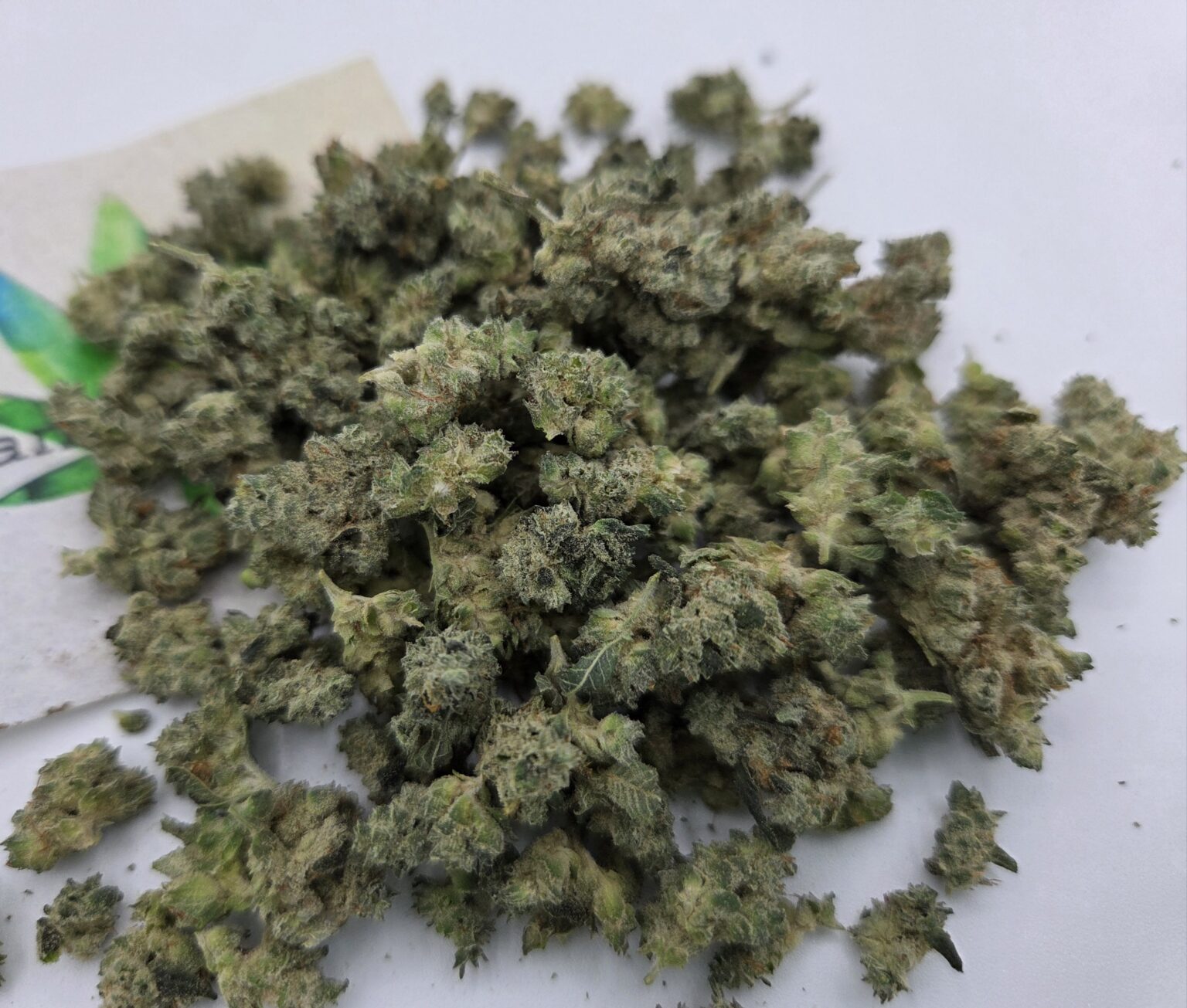 GMO (small buds) – Cannabliss Creations Inc.