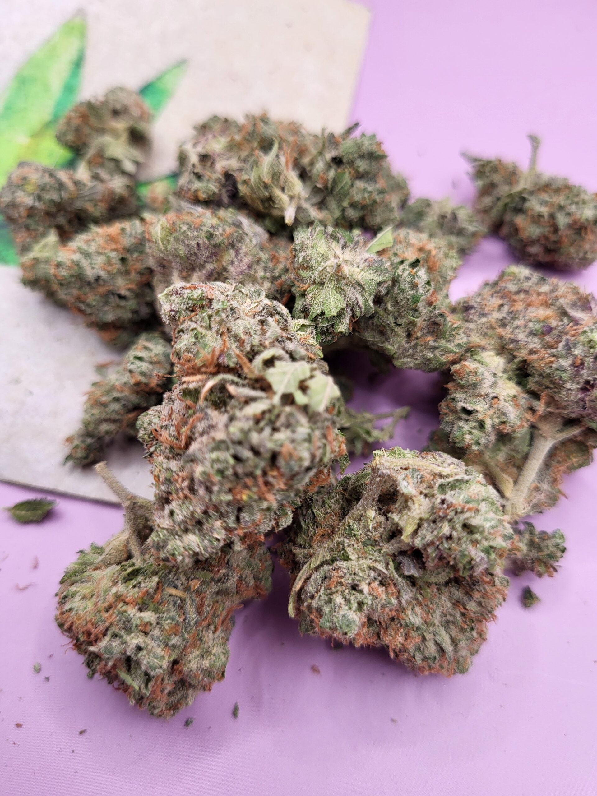 Gary Payton – Cannabliss Creations Inc.