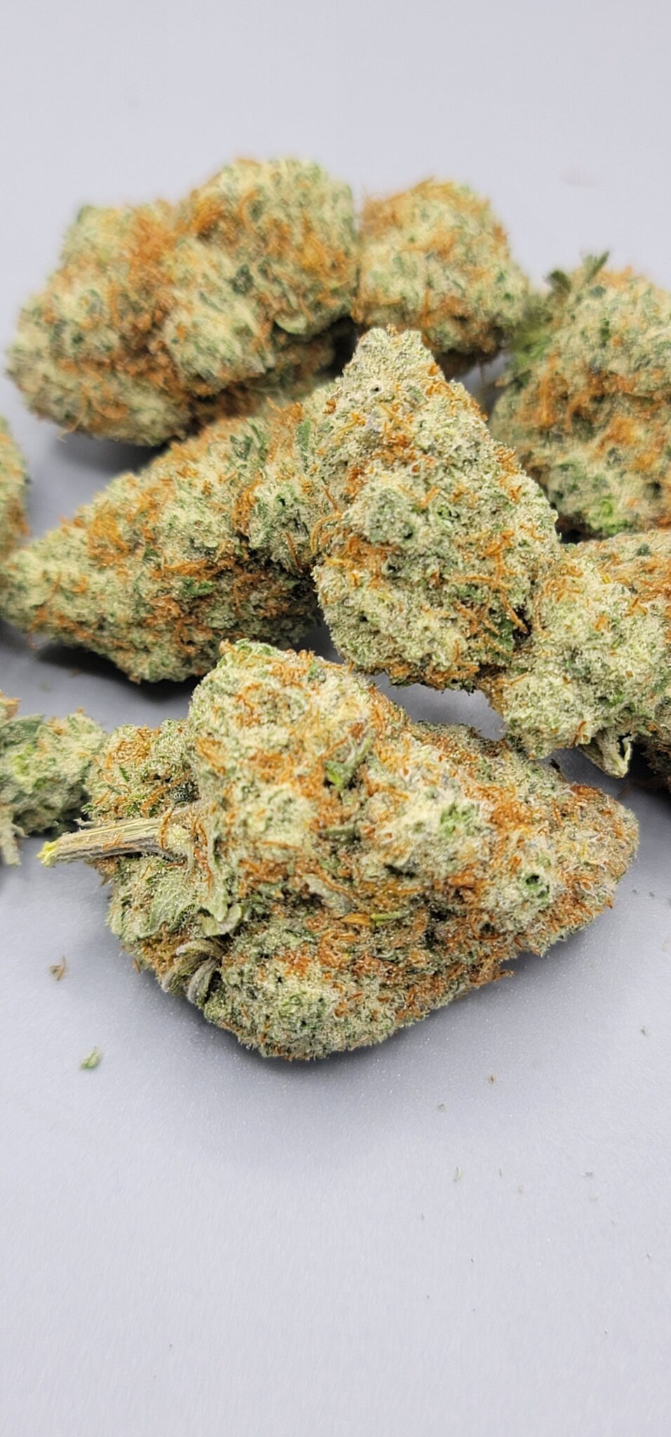 Cookie Kush – Cannabliss Creations Inc.