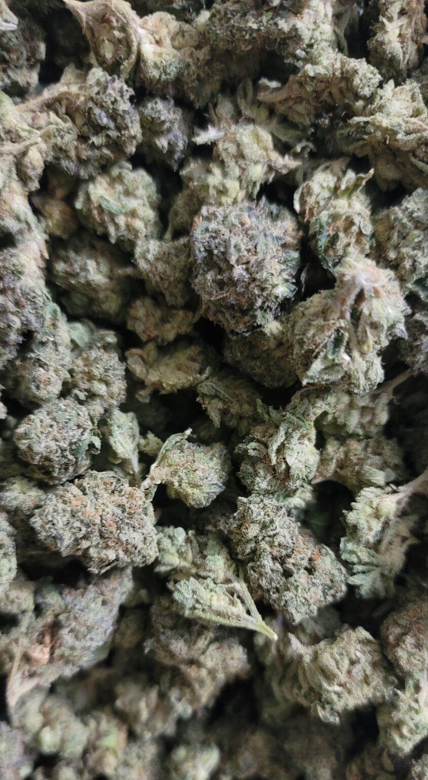 Animal Face (Smaller Buds) – Cannabliss Creations Inc.