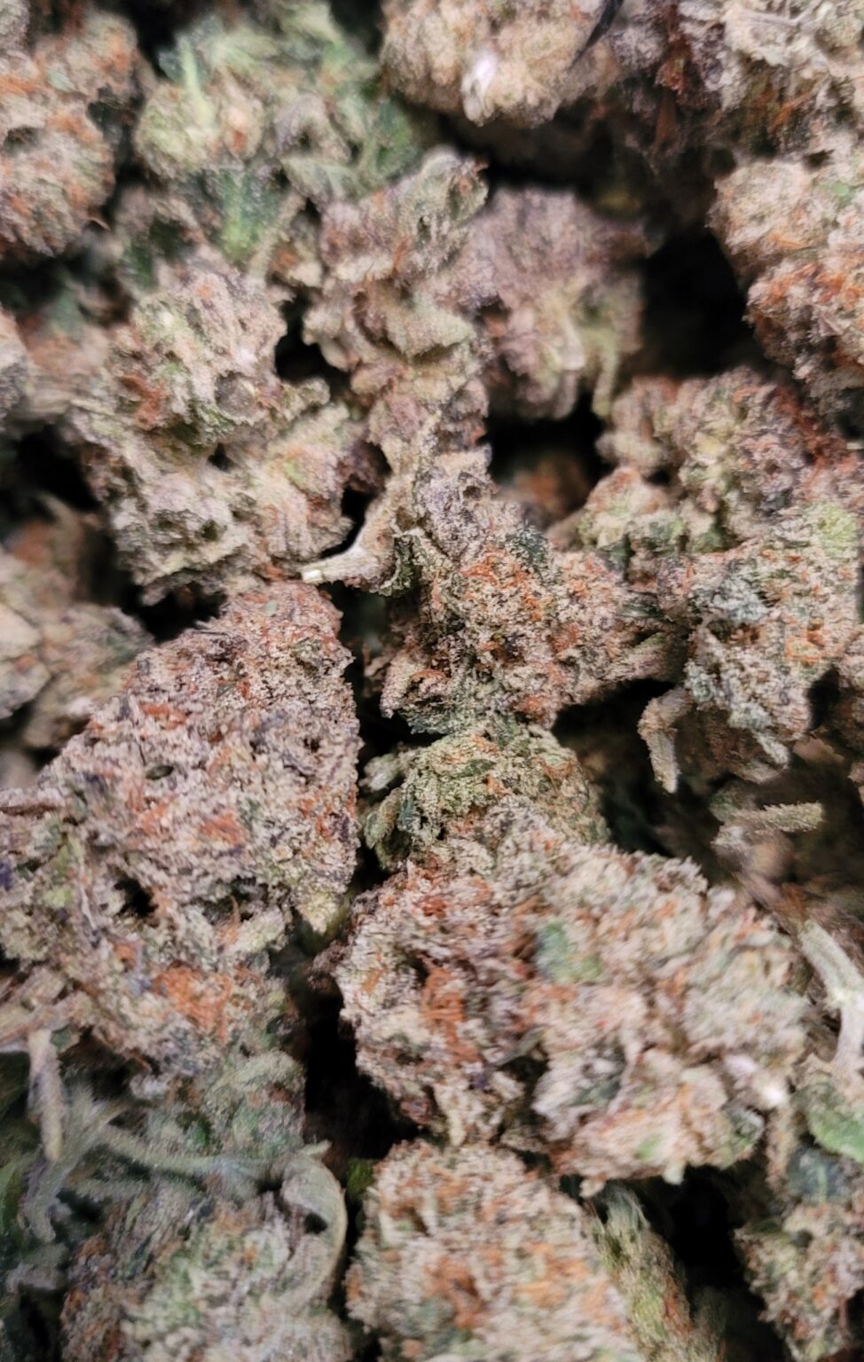 Grape Gas – Cannabliss Creations Inc.