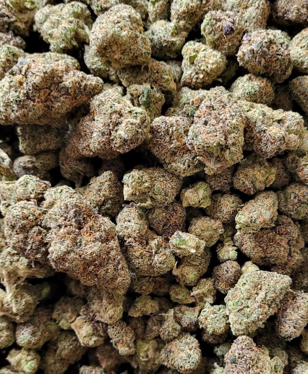 Sherb Pop – Cannabliss Creations Inc.