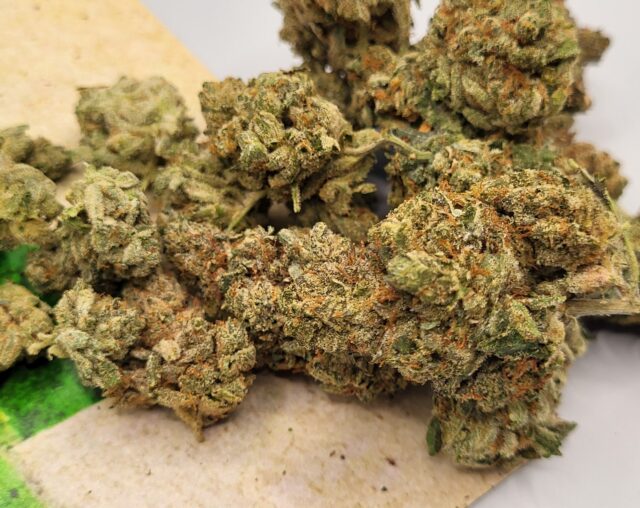 Bubble Gum Runtz – Cannabliss Creations Inc.