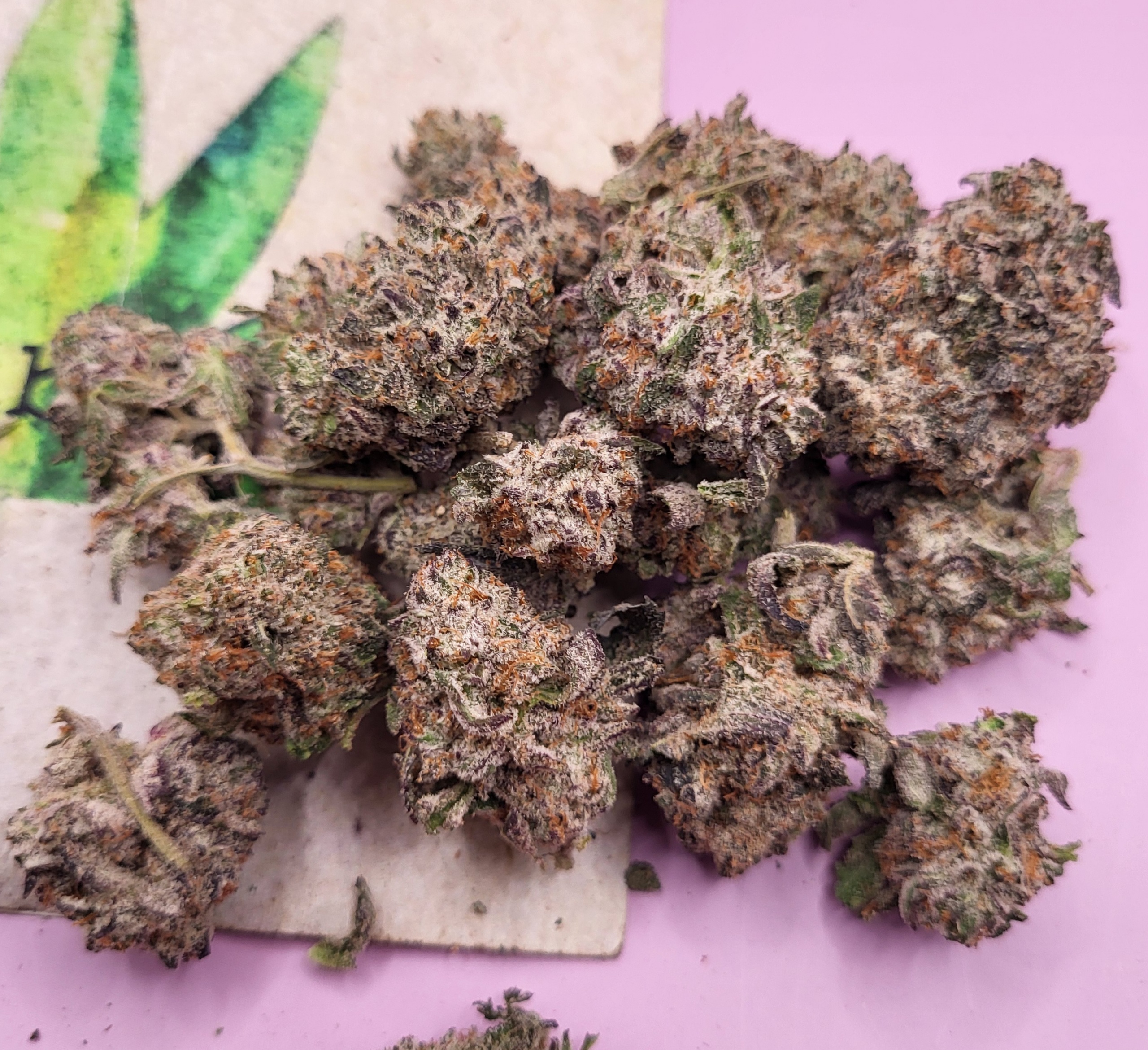 Chanel Runtz – Cannabliss Creations Inc.