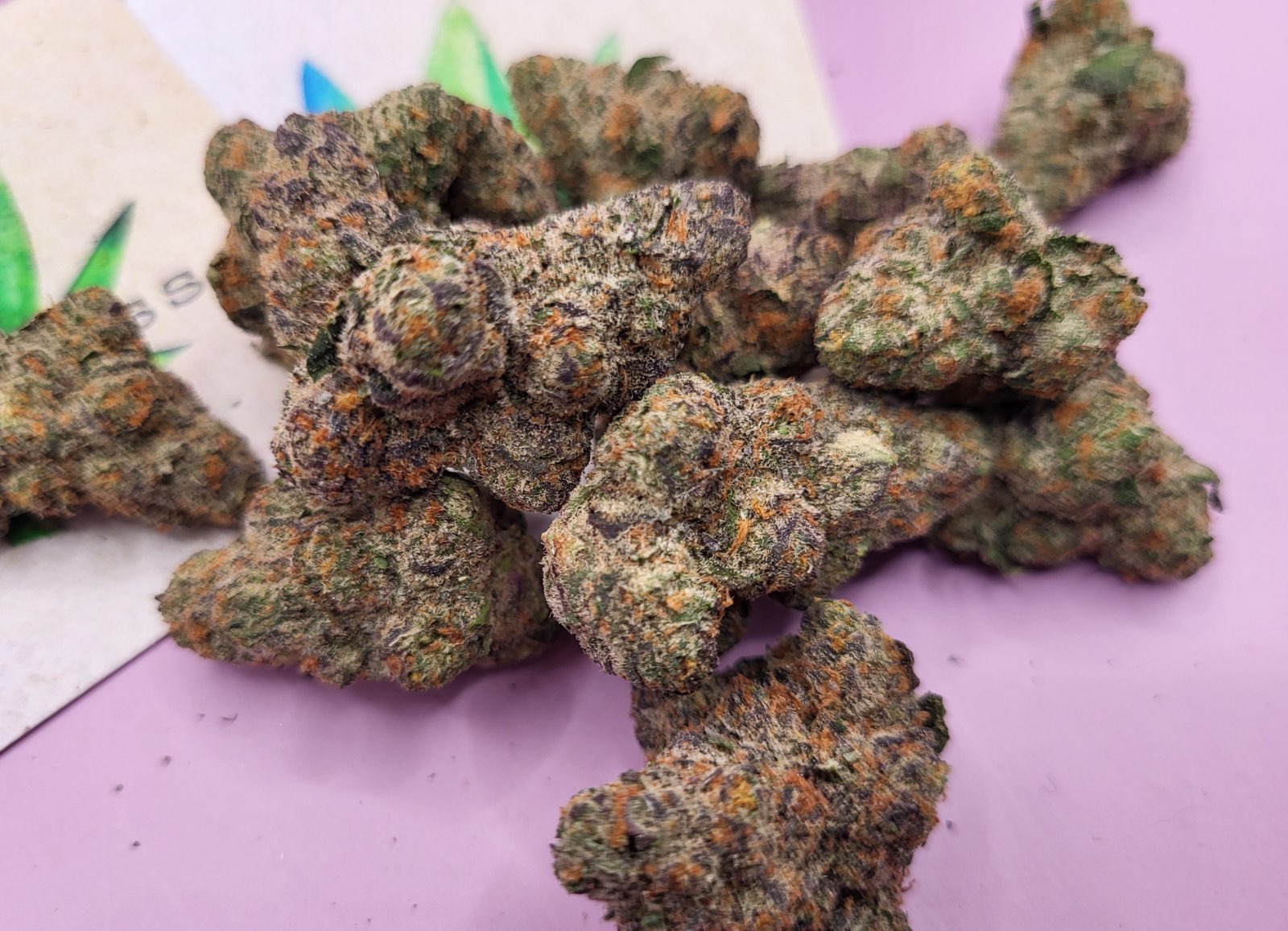 Exodus Kush – Cannabliss Creations Inc.