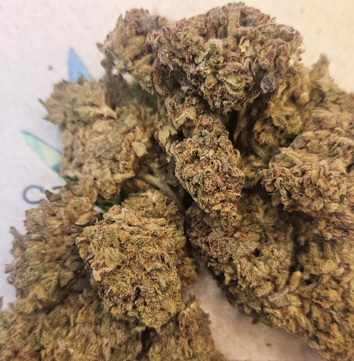 Melon Berry – Cannabliss Creations Inc.